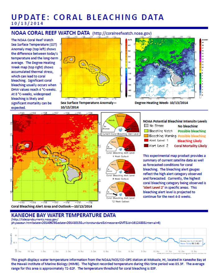 Reef Response | Latest info: Coral Bleaching