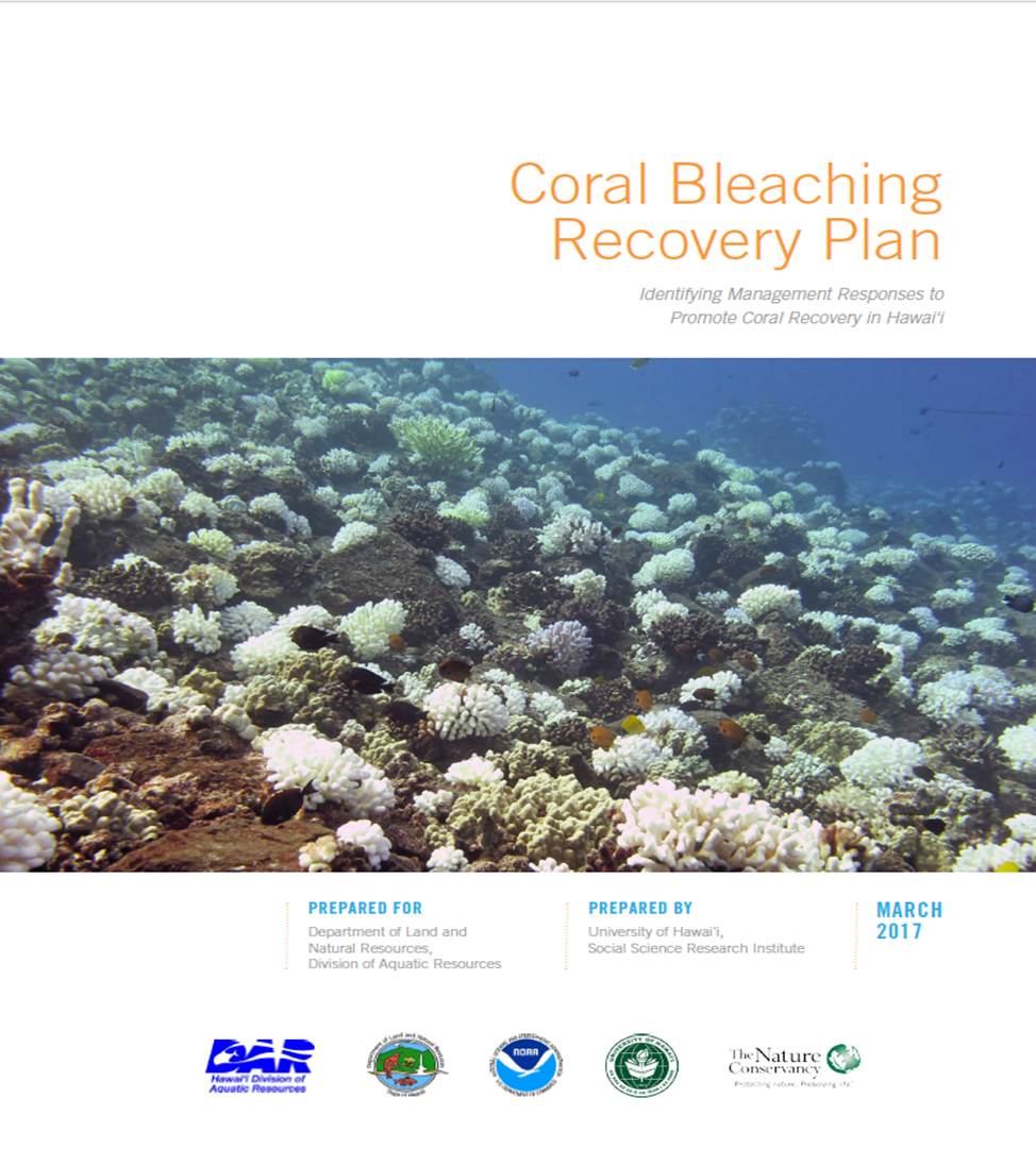 Reef Response | Coral Bleaching Recovery Plan