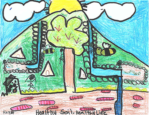 2022 Poster Contest Winners | Hawaii Association of Conservation ...