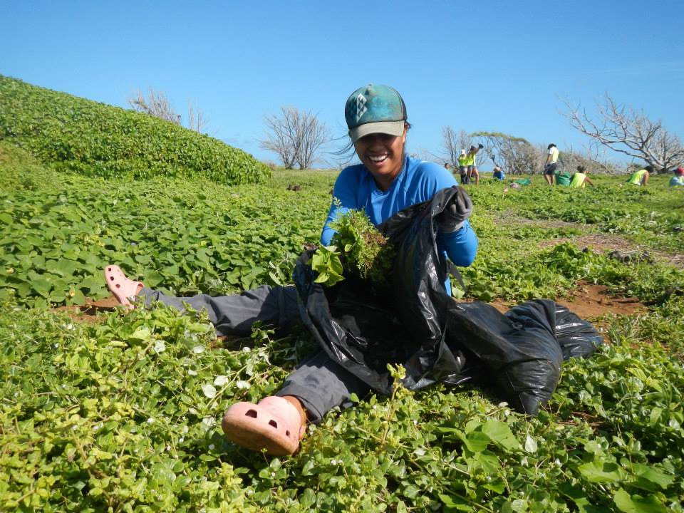 Invasive Species Removal | Volunteer