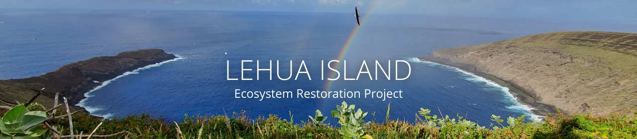 Wildlife Programs | Lehua Island Ecosystem Restoration Project
