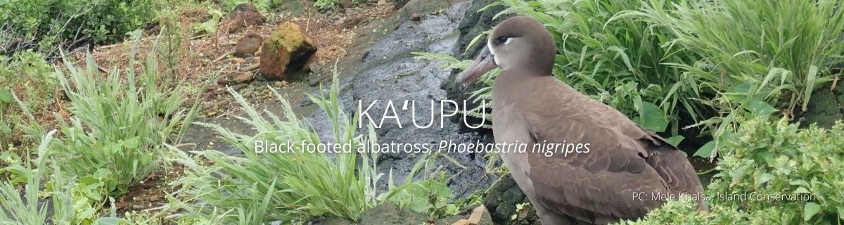 Division of Forestry and Wildlife: Wildlife Program | Kaʻupu