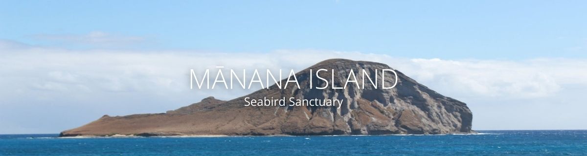 Division of Forestry and Wildlife: Wildlife Program | Oʻahu Offshore ...