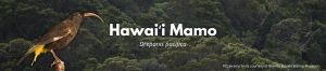 Division of Forestry and Wildlife: Wildlife Program | Hawaiʻi Mamo