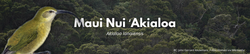Division of Forestry and Wildlife: Wildlife Program | Maui Nui ʻAkialoa