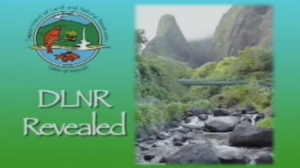 Department of Land and Natural Resources | DLNR Revealed- Episode 3 ...