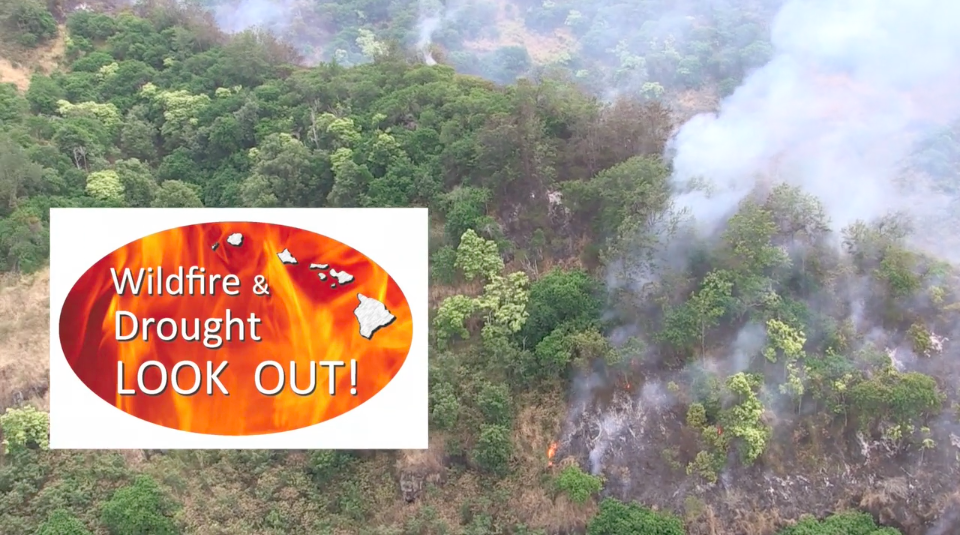 Wildlife and Drought LOOK OUT! | Department of Land and Natural Resources