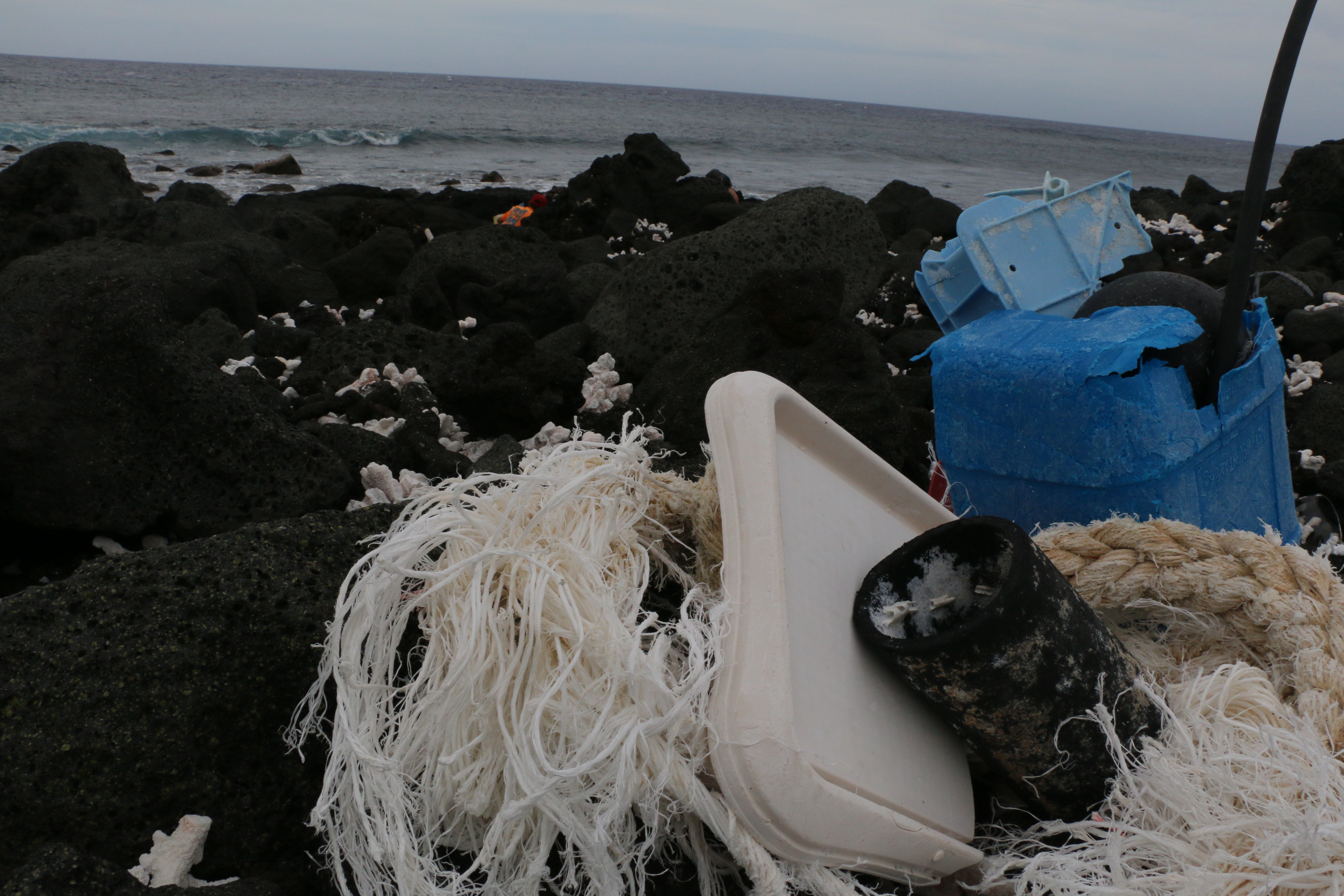 Department of Land and Natural Resources | 04/22/18 – The Ocean Is Not ...