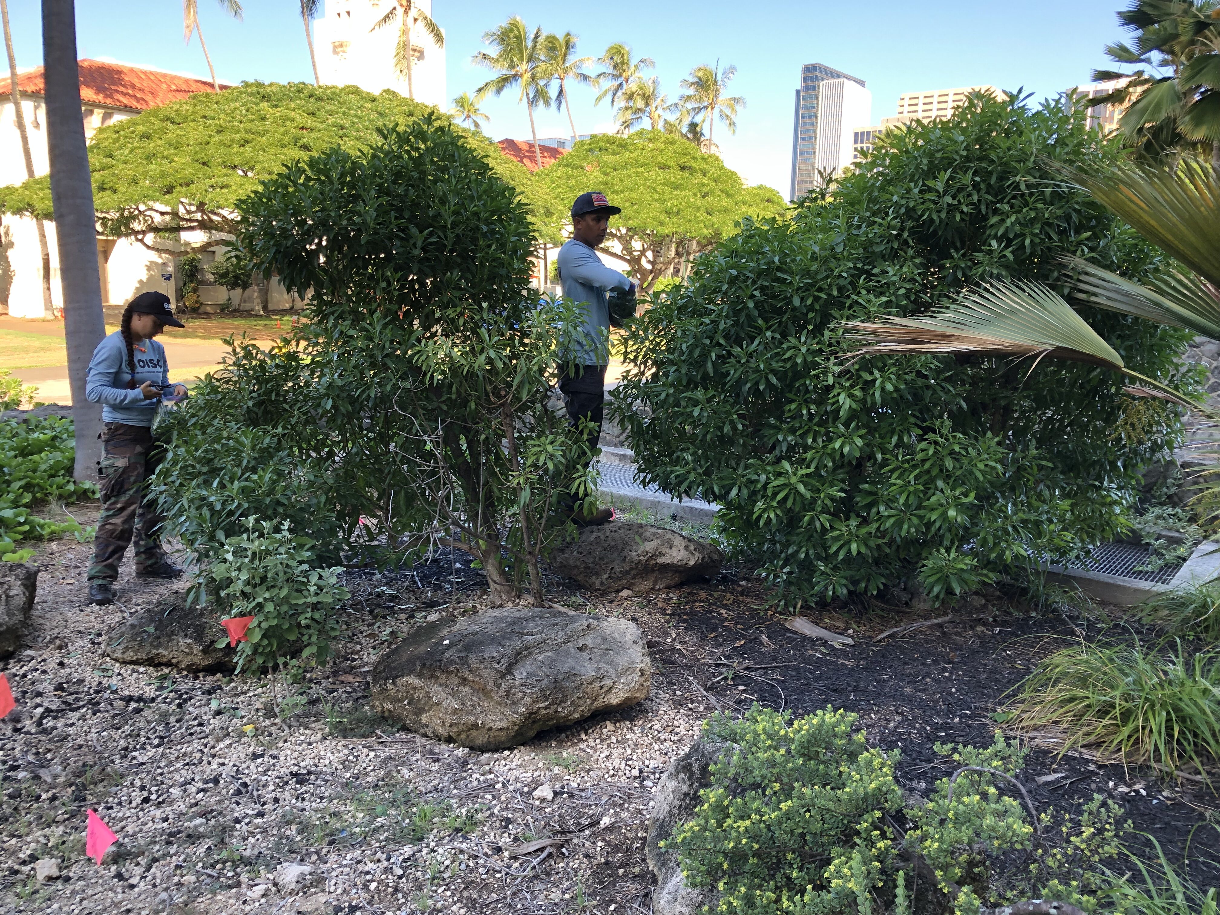 Department of Land and Natural Resources | HISC