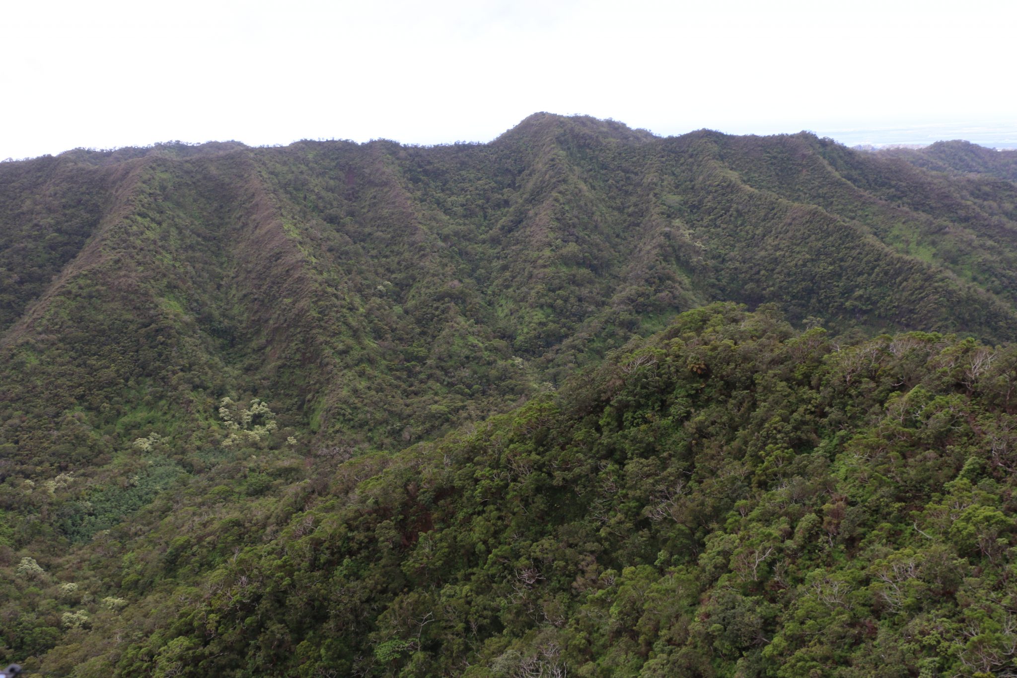 Department of Land and Natural Resources | 06/16/22 – NEARLY $15 ...