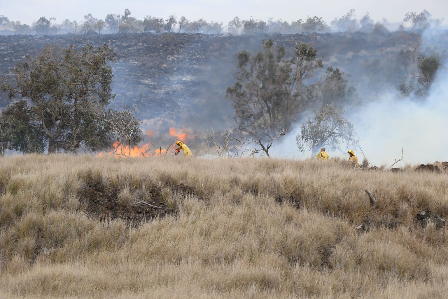 Department of Land and Natural Resources | 09/06/22 – FUNDING ...