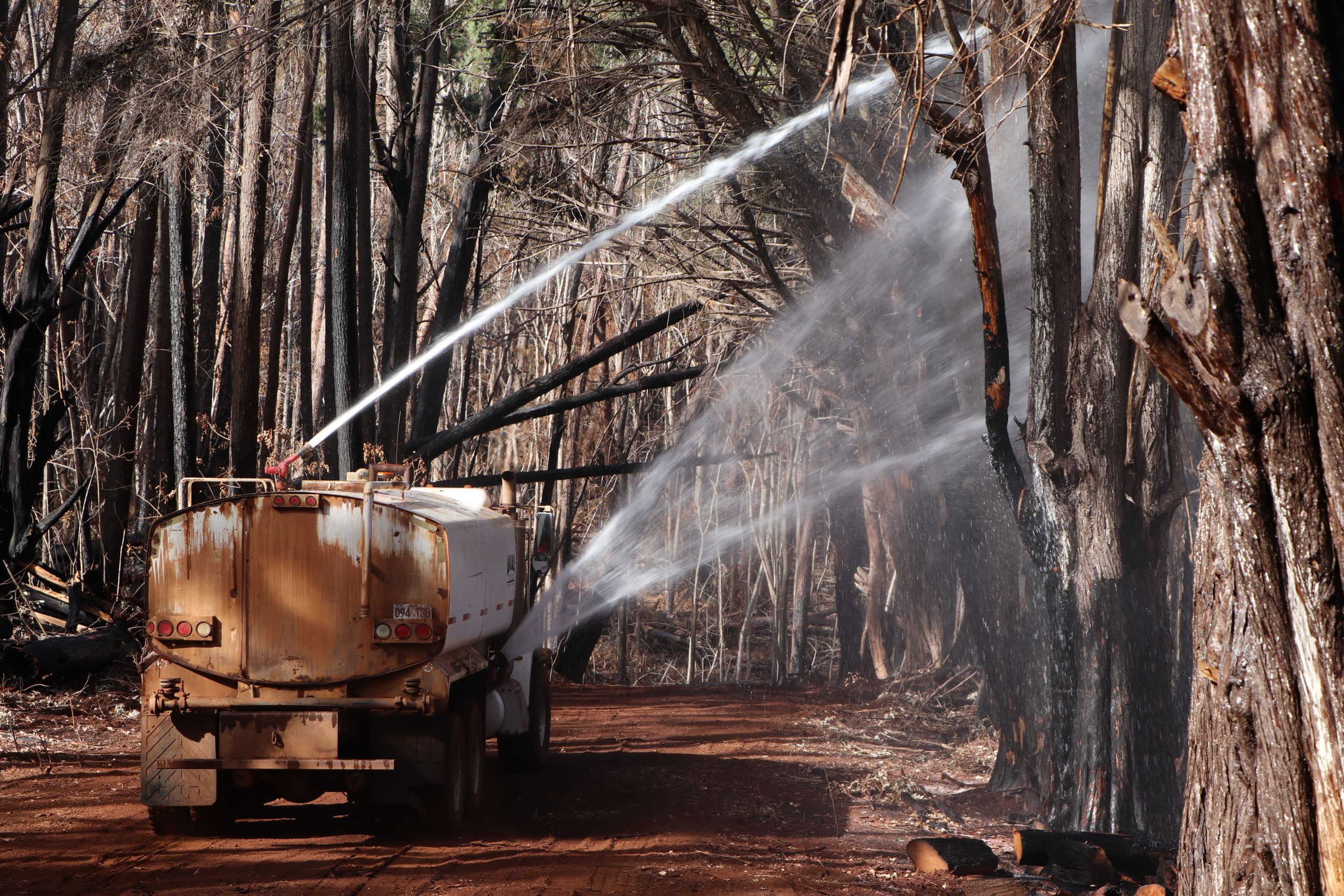 Department of Land and Natural Resources | 09/07/23-ONE MONTH AFTER ...