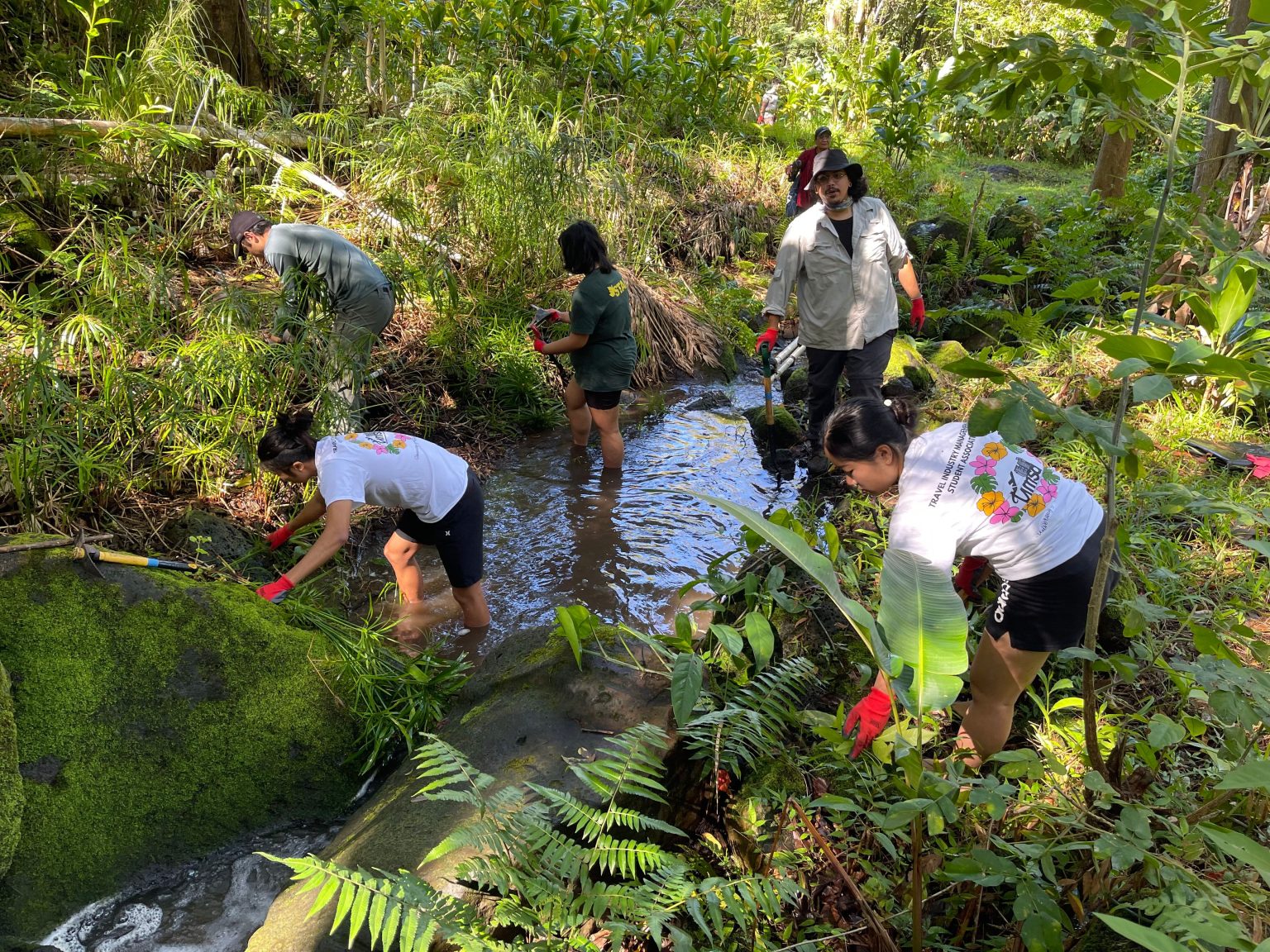 04/20/24 – HUNDREDS PARTICIPATE IN EARTH DAY MAKIKI STREAM CLEAN-UP ...