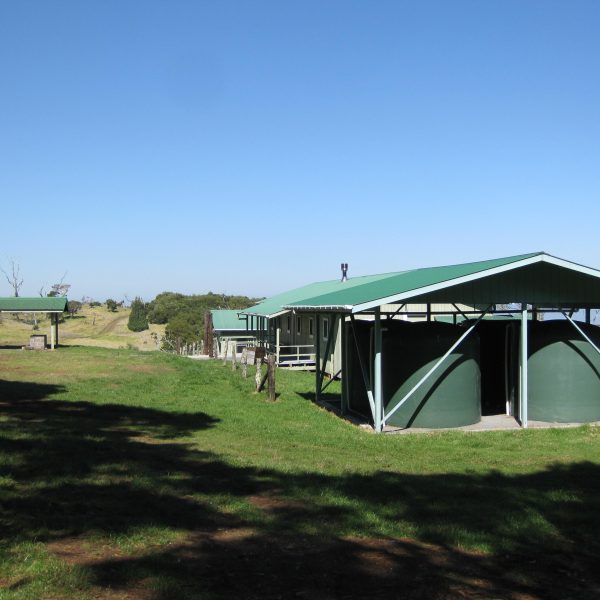 Department of Land and Natural Resources | Forestry & Wildlife