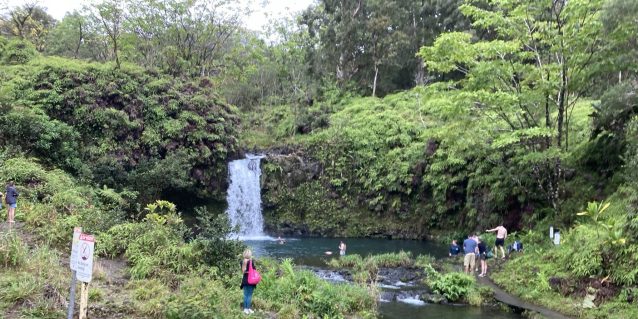 Department of Land and Natural Resources